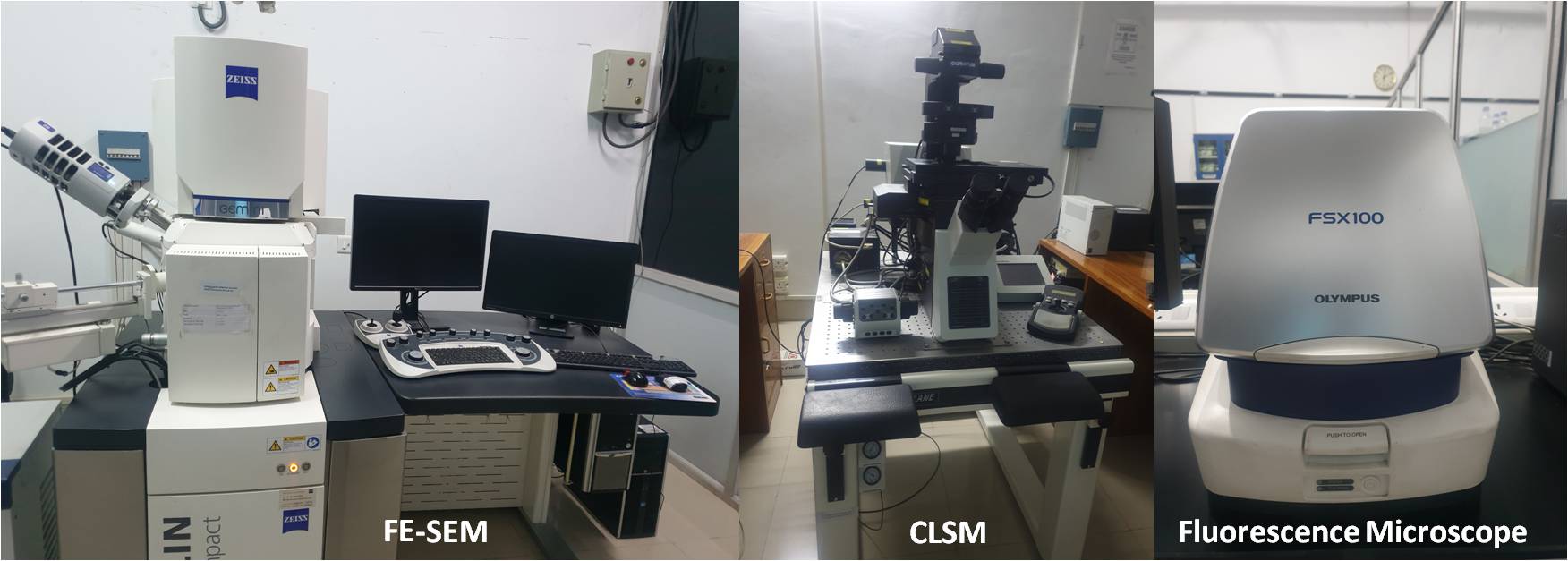 Facilities in the Laboratory | Central Instrumentation Laboratory, CUPB
